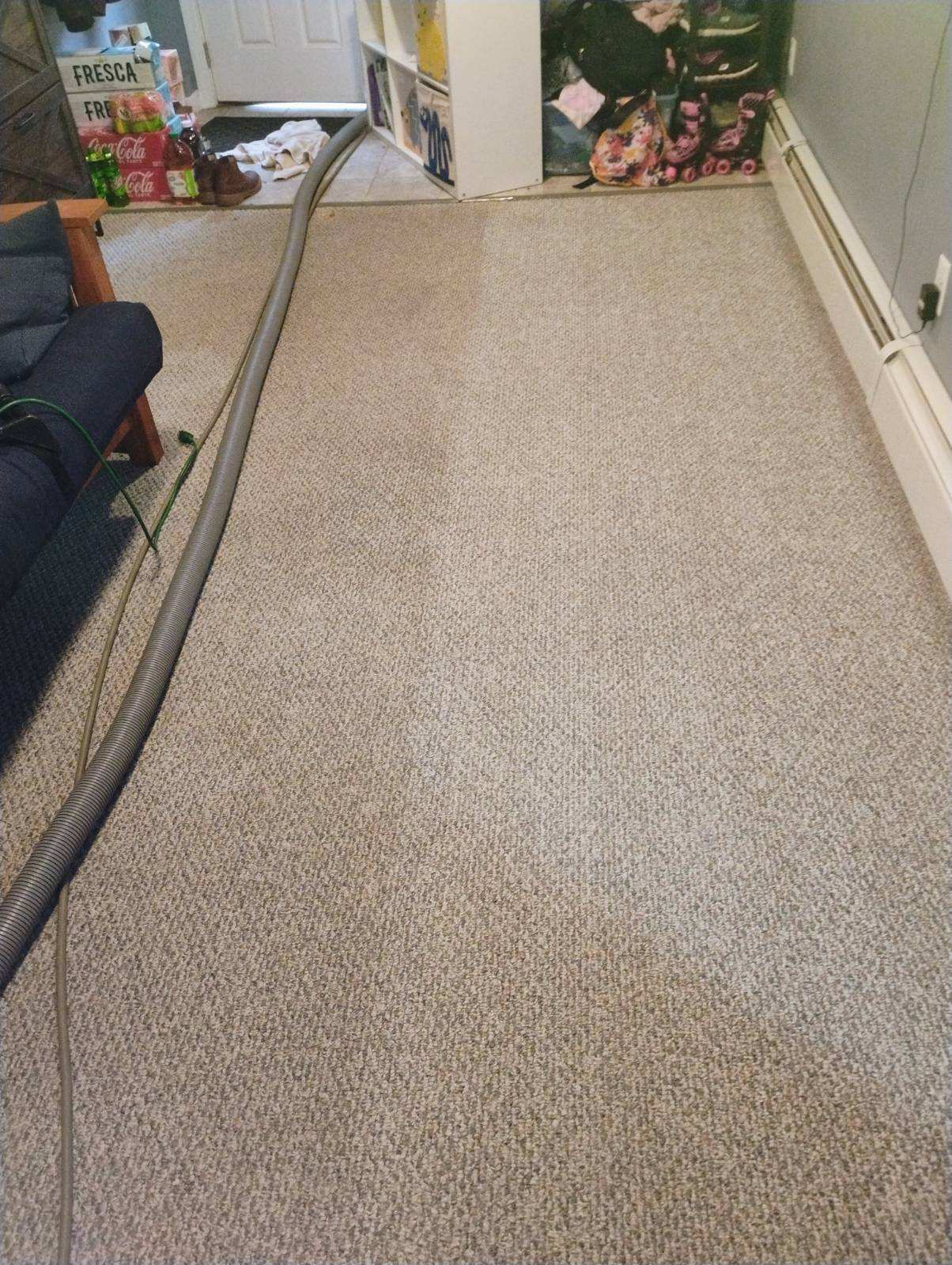 Best Carpet Cleaning in Massachusetts | Alpine Cleaners