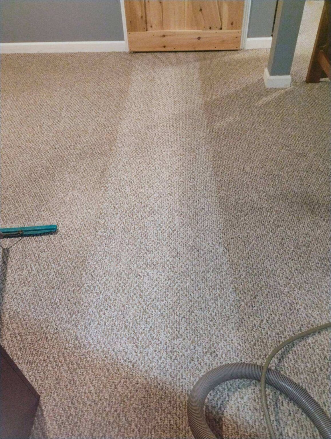 Best Carpet Cleaning in Massachusetts | Alpine Cleaners